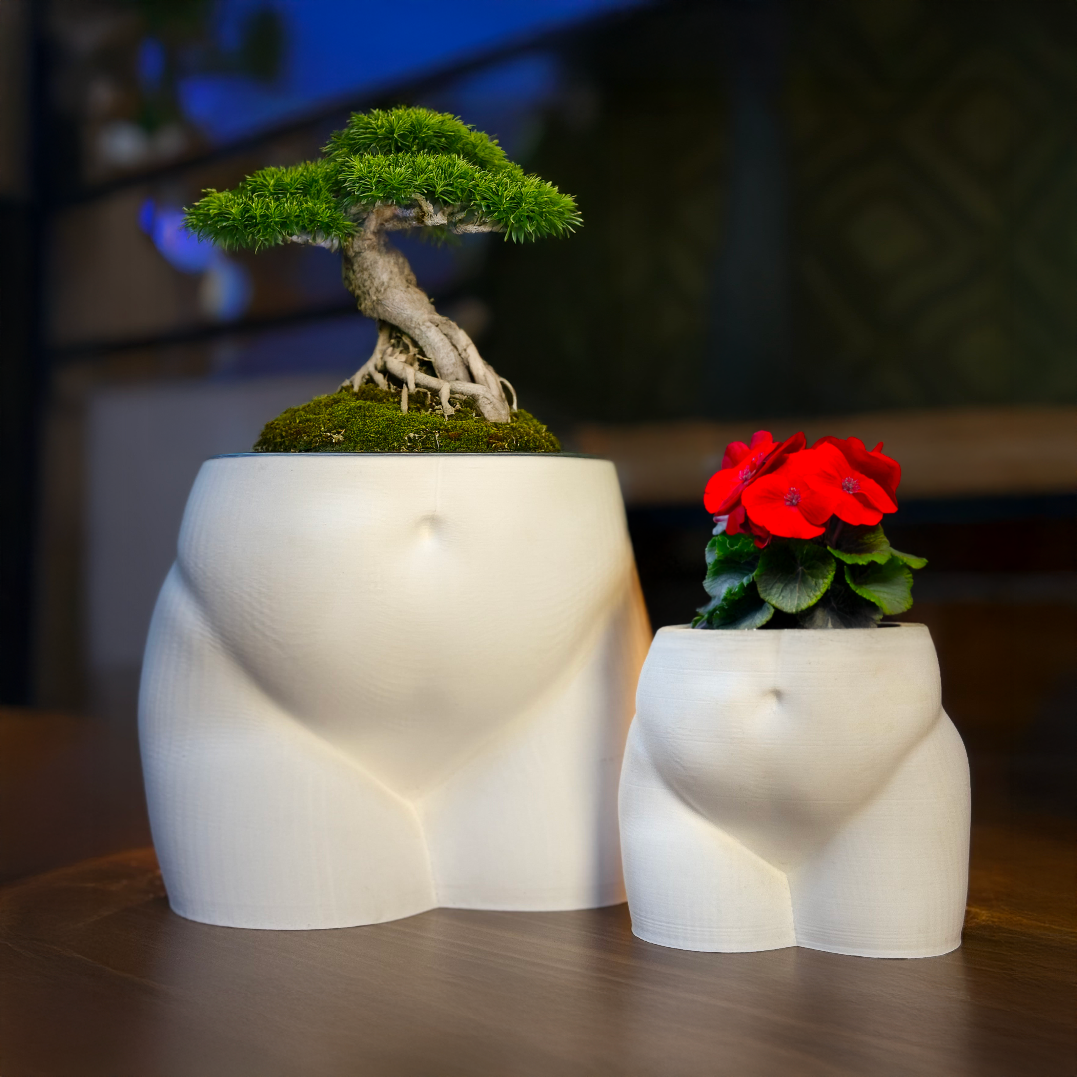 Planters – LayerStory